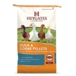 Heygates Archives • The Feed Shed