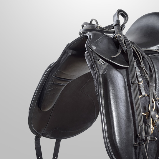 The Feed Shed • Caring For Your Livestock