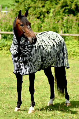 JHL Essential Zebra Print Combo Fly Rug • The Feed Shed